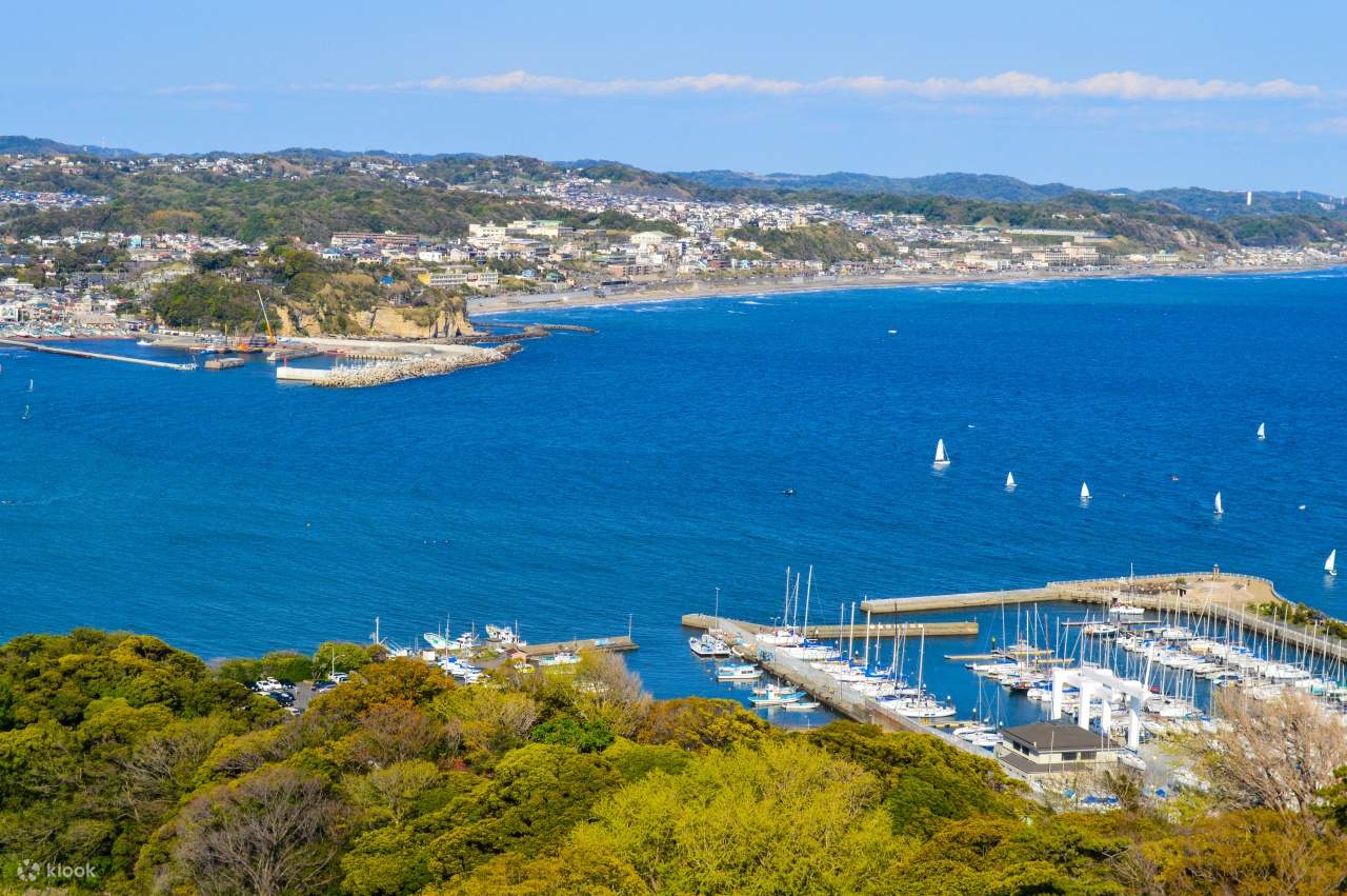 [Mount Fuji, Hakone, Kamakura, and Enoshima Day Trip] Pirate Ship ...